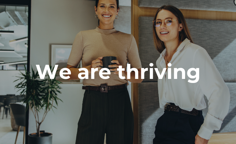 Insight - Skytech Control